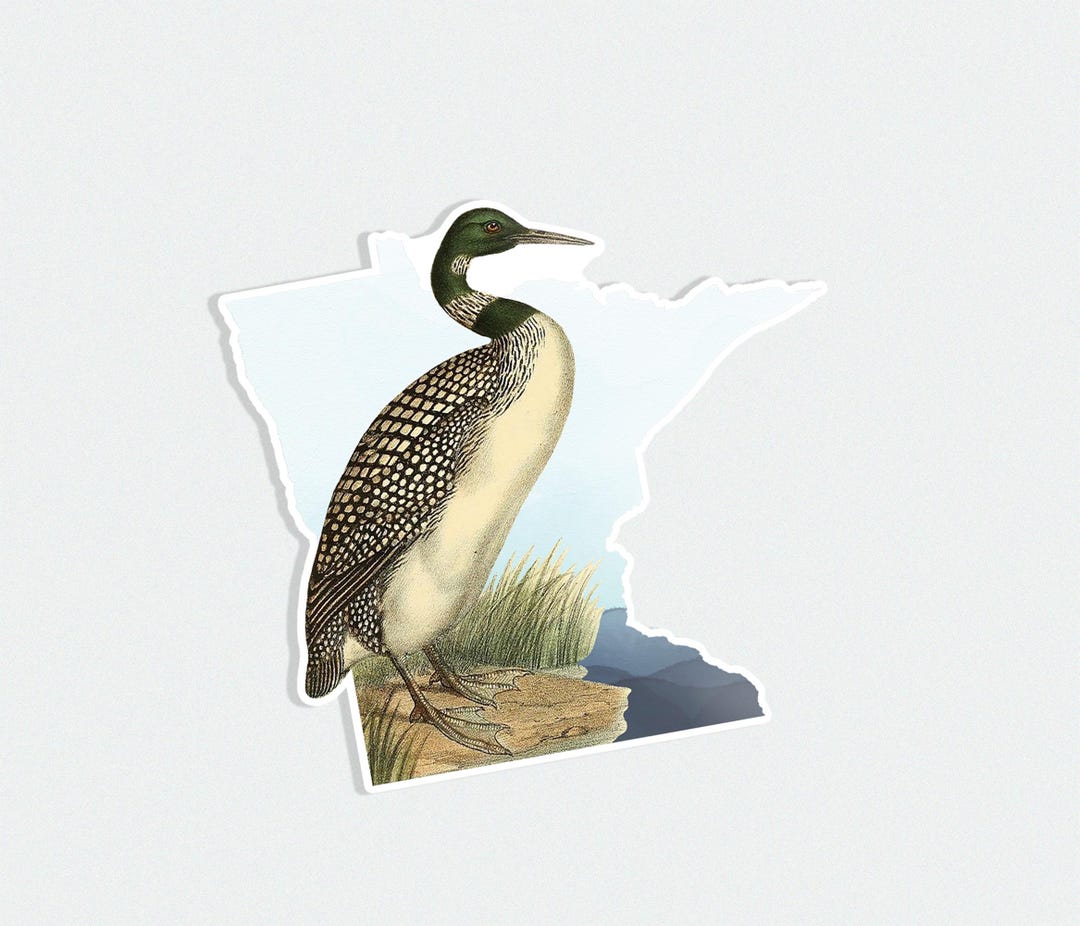 Minnesota Common Loon Sticker | Die Cut Sticker for Birds Lovers | 3.5 ...
