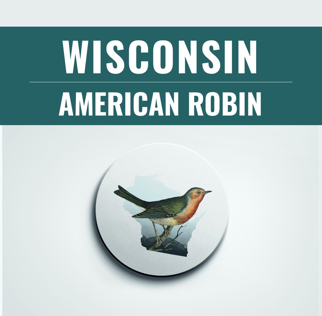 Wisconsin State Bird Coaster Set: American Robin, Unique Home Decor - Etsy