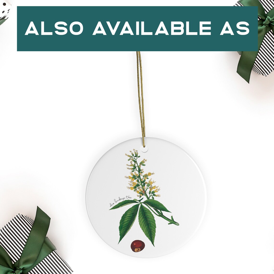 Ohio State Buckeye Wall Art Ohio Buckeye Tree Art Nature | Etsy