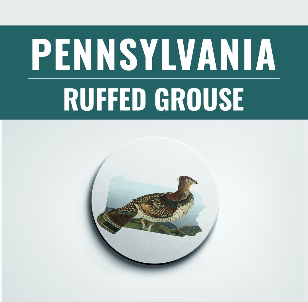 Pennsylvania State Bird Coaster Set Pennsylvania Gifts - Etsy