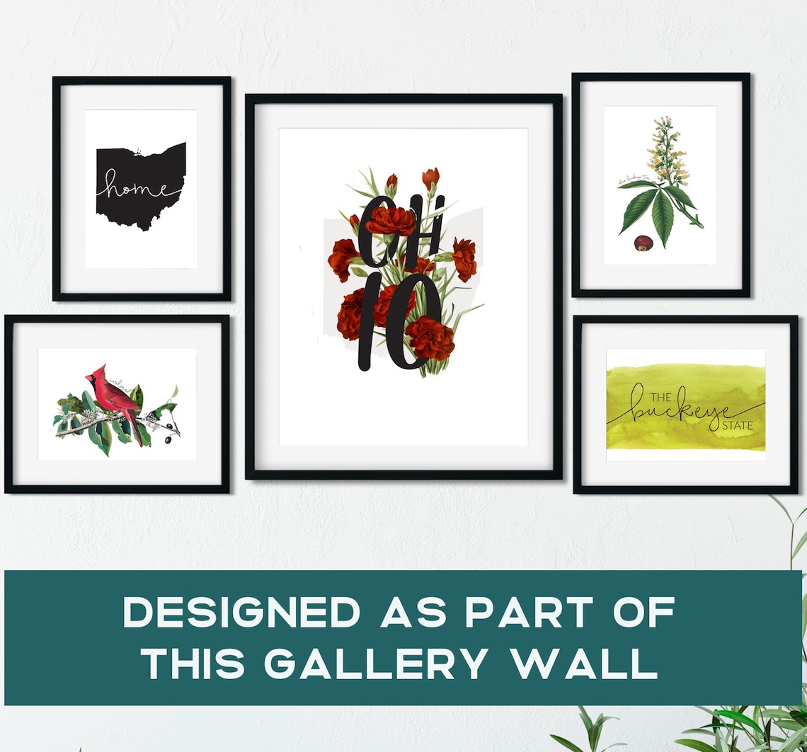 Ohio State Buckeye Wall Art Ohio Buckeye Tree Art Nature | Etsy