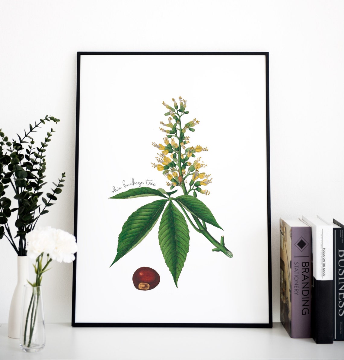 Ohio State Buckeye Wall Art Ohio Buckeye Tree Art Nature | Etsy