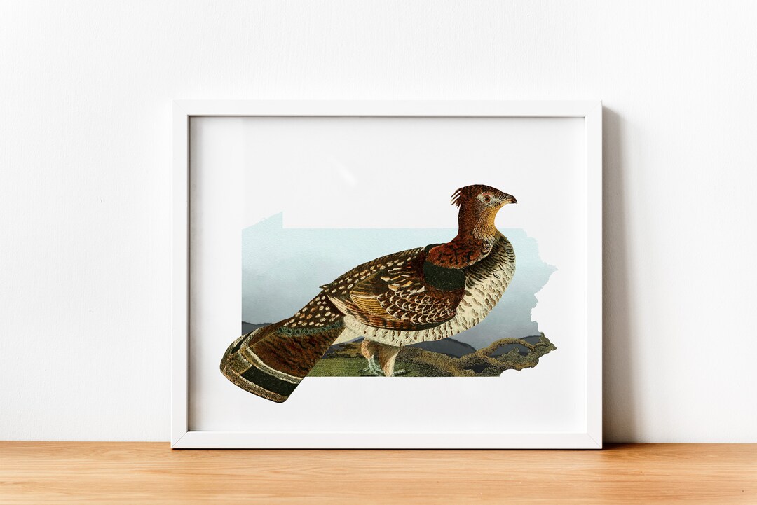 Pennsylvania State Bird Ruffed Grouse Wall Art Birdwatcher Gift & Home ...