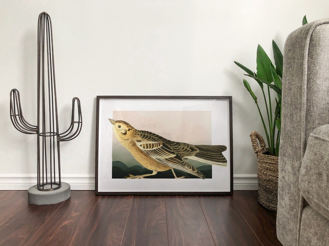 Colorado State Bird Print | Lark Bunting Wall Art | Denver Colorado ...