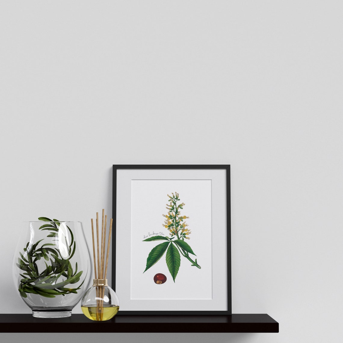 Ohio State Buckeye Wall Art Ohio Buckeye Tree Art Nature | Etsy