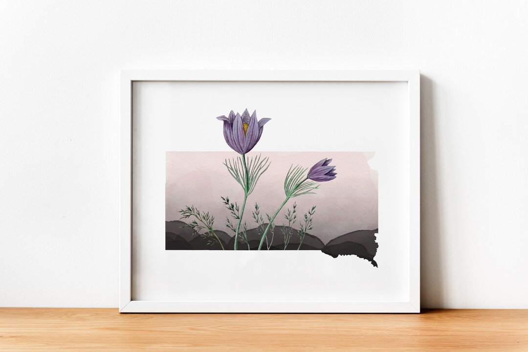 South Dakota State Flower Print | Botanical Poster Wall Art for Sioux ...