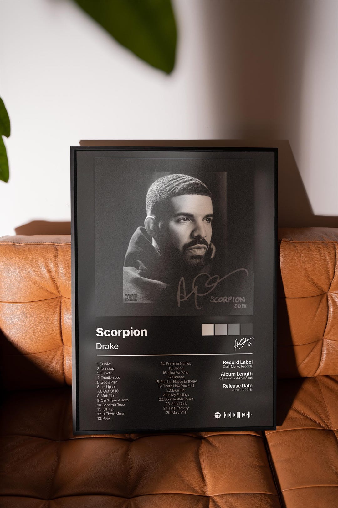 Scorpion Drake Album Cover – Personalized Physical Music Print | Custom ...