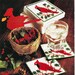 Vintage Plastic Canvas Pattern Christmas Cardinal Bird Coaster Set PDF ...