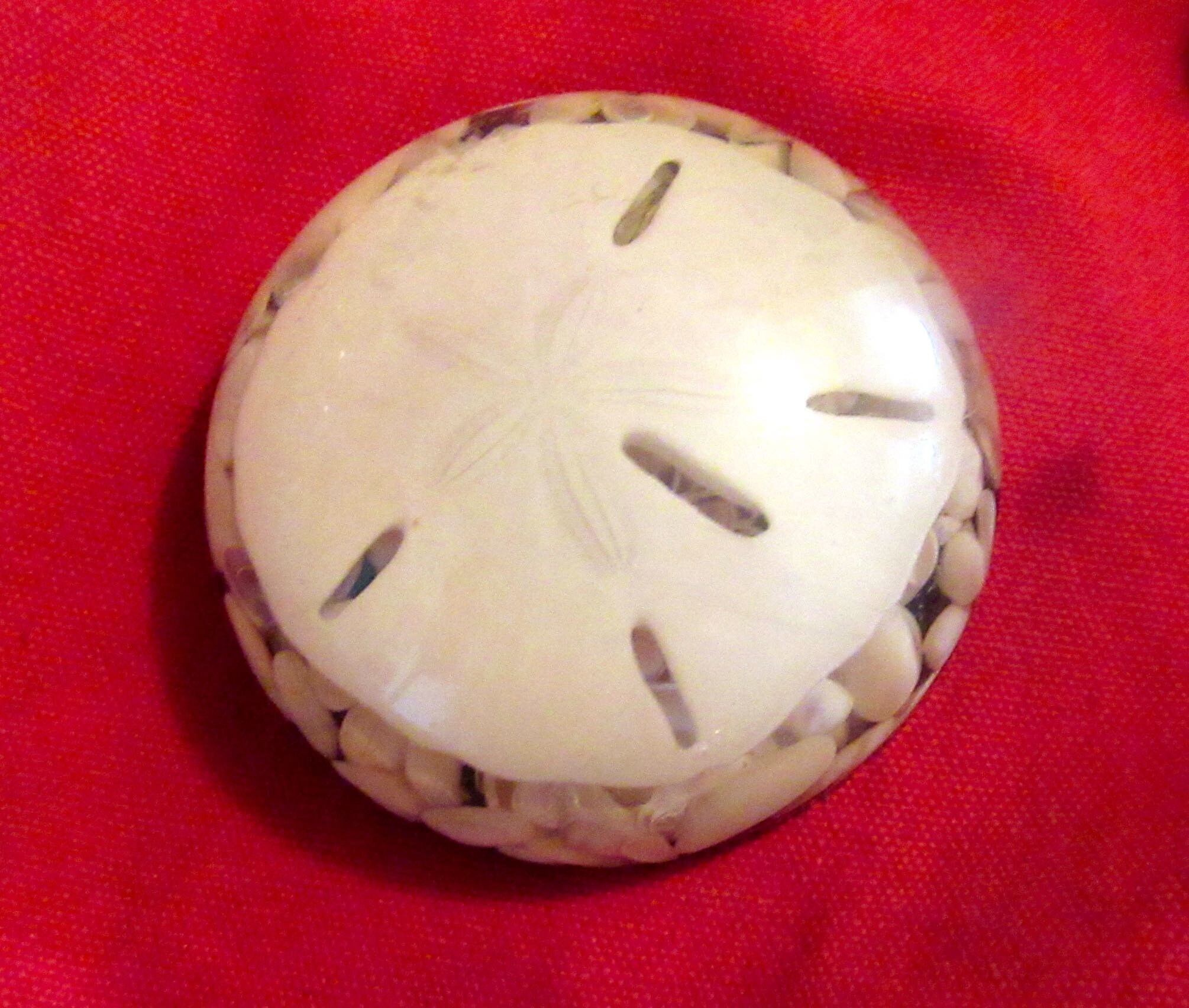 Sand Dollar Seashell Paperweight Round Dome Resin Acrylic Lucite Felt ...