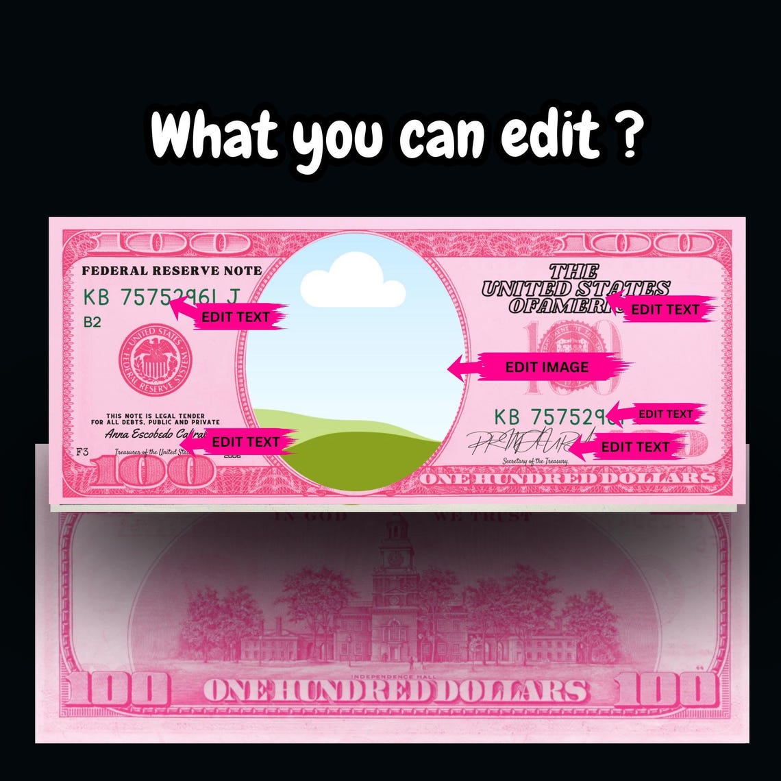 100 Dollar Bill Templates: Custom Photo Editable - Green & Pink - Etsy
