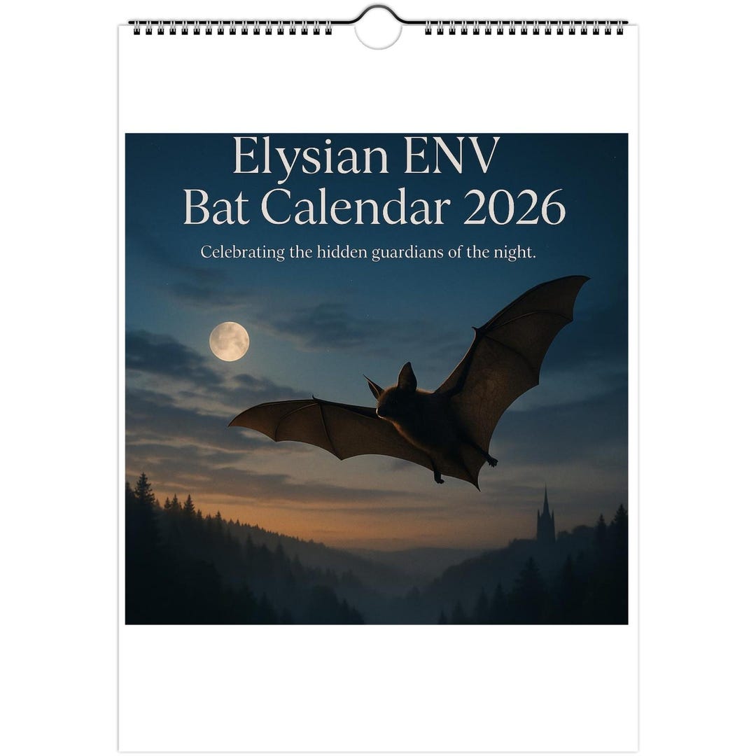 Elysian ENV Bat Calendar 2026 – USA and Rest of World Edition - Etsy