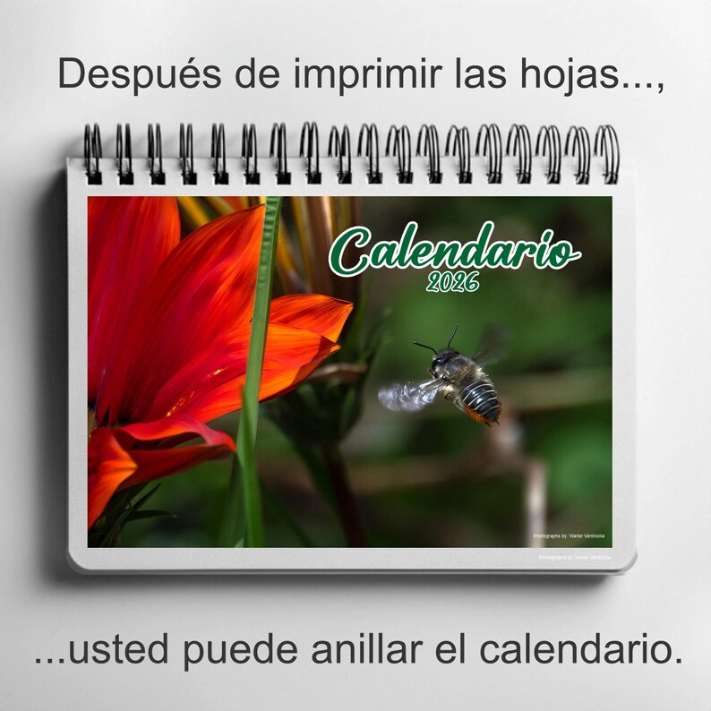 Nuestro “abejas Calendario 2026” En Español, Es Todo En Uno: Agenda ...
