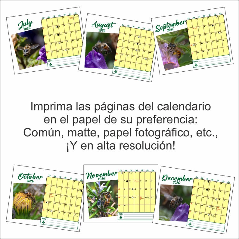 Nuestro “abejas Calendario 2026” En Español, Es Todo En Uno: Agenda ...