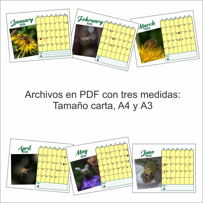 Nuestro “abejas Calendario 2026” En Español, Es Todo En Uno: Agenda ...