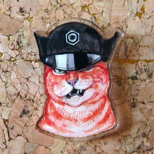 Star Wars Millie Millicent Ginger Cat Kylo General Hux Cute Baby Kitten ...