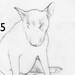 English Bull Terrier Line Drawing Print to Frame - Etsy