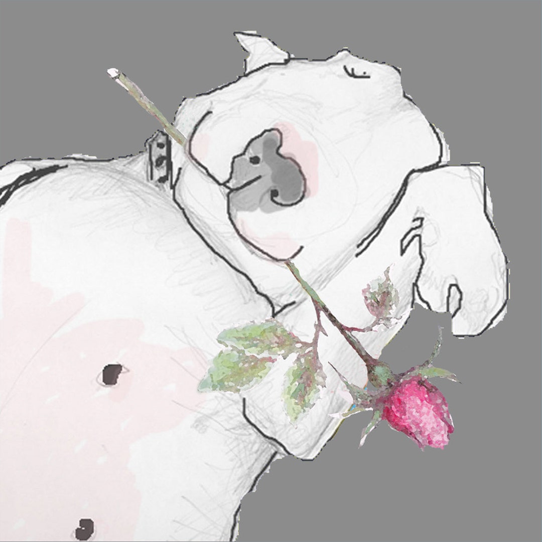 Sleepy Bull Terrier With Rose Print in Pink Grey or Blue - Etsy UK