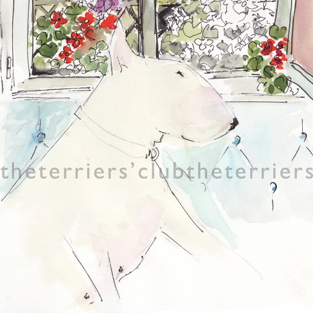 Dufy the Dog at the Window Bull Terrier Card - Etsy