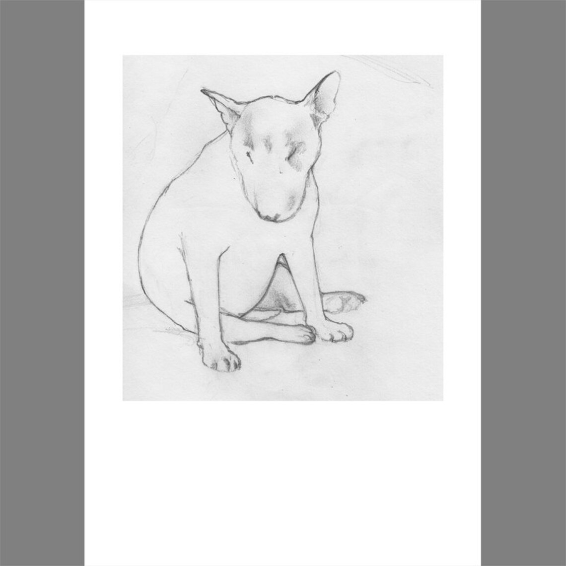 English Bull Terrier Line Drawing Print to Frame | Etsy