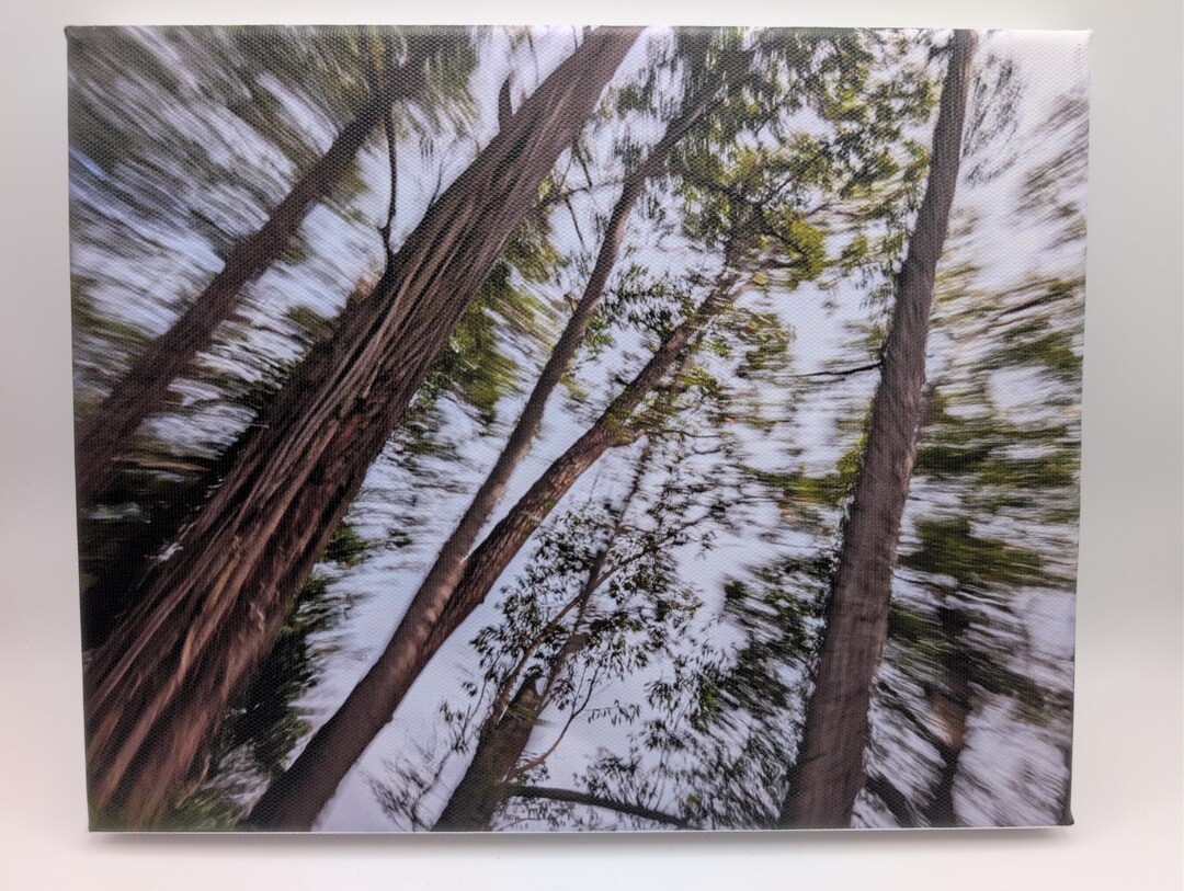 Spinning Trees - Etsy