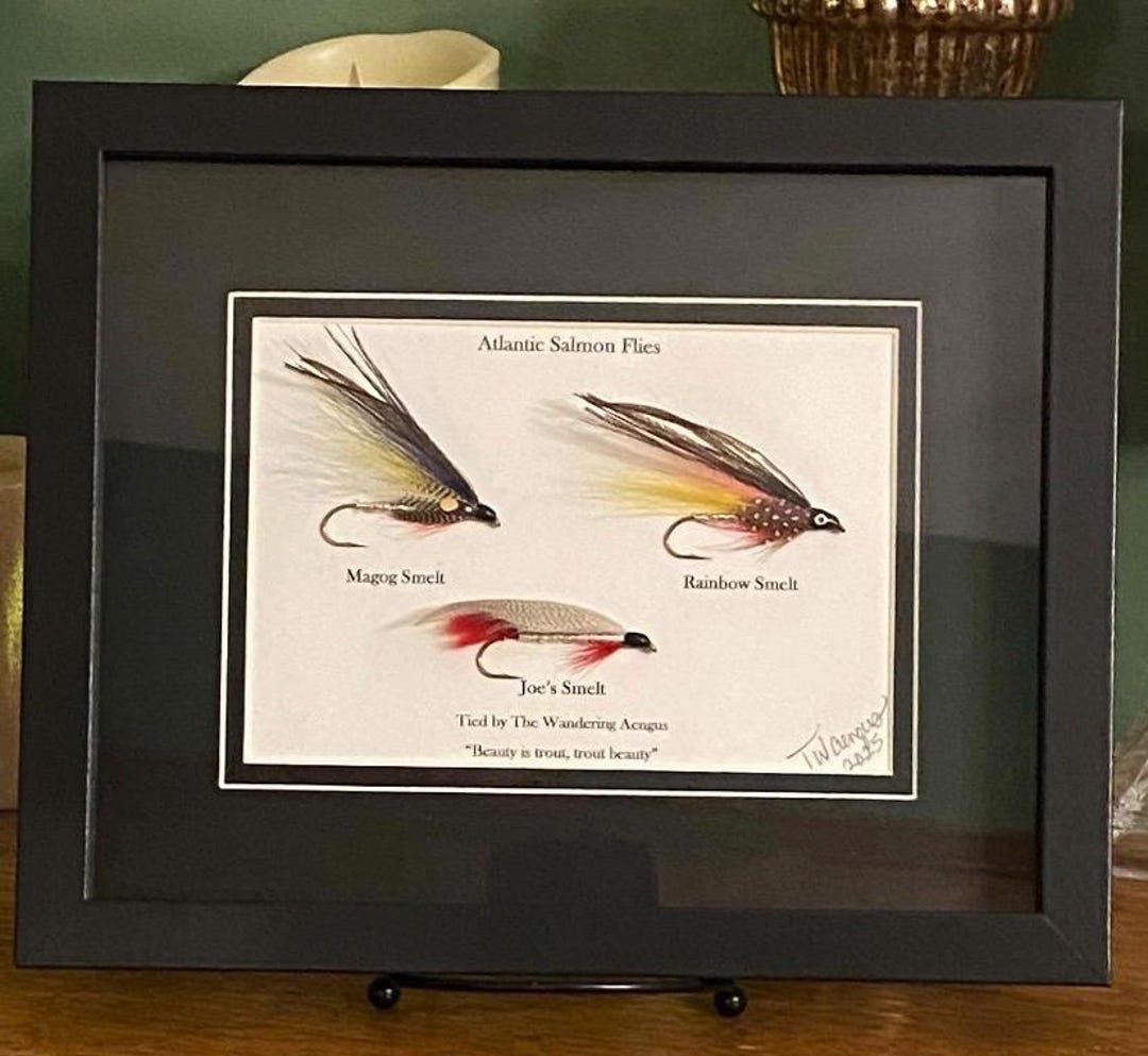 Classic Northeastern Streamers/salmon Fly Shadowbox 8x10 - Etsy