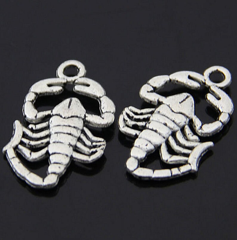 6pcs-2 Sided Silver Tong Scorpion Charm - Etsy