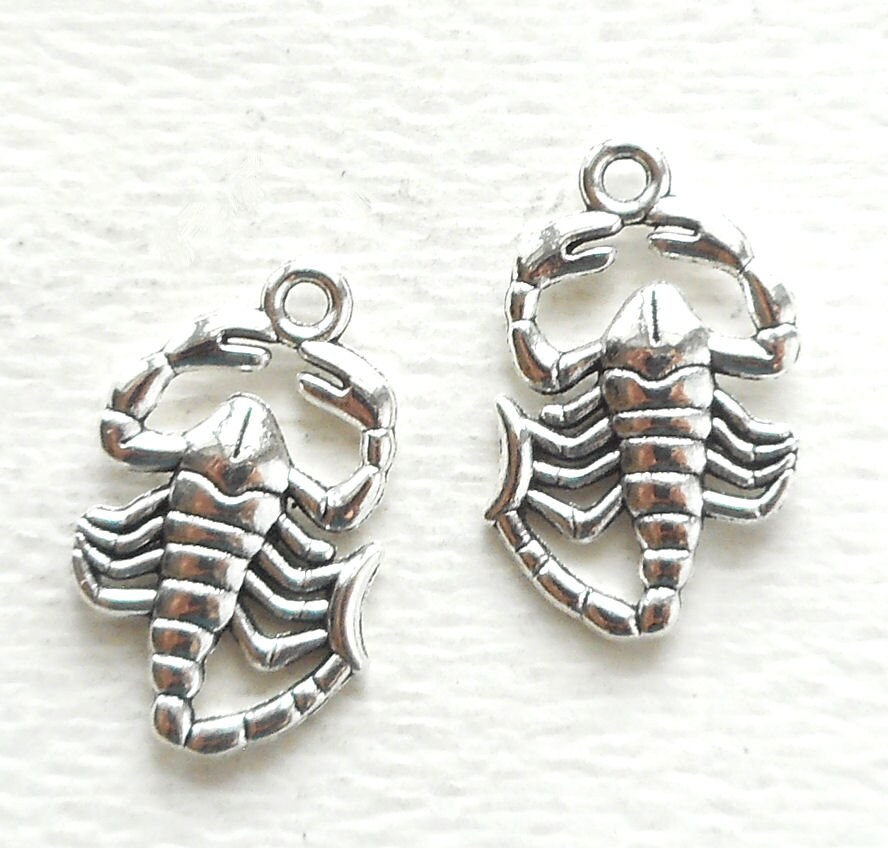 6pcs-2 Sided Silver Tong Scorpion Charm - Etsy