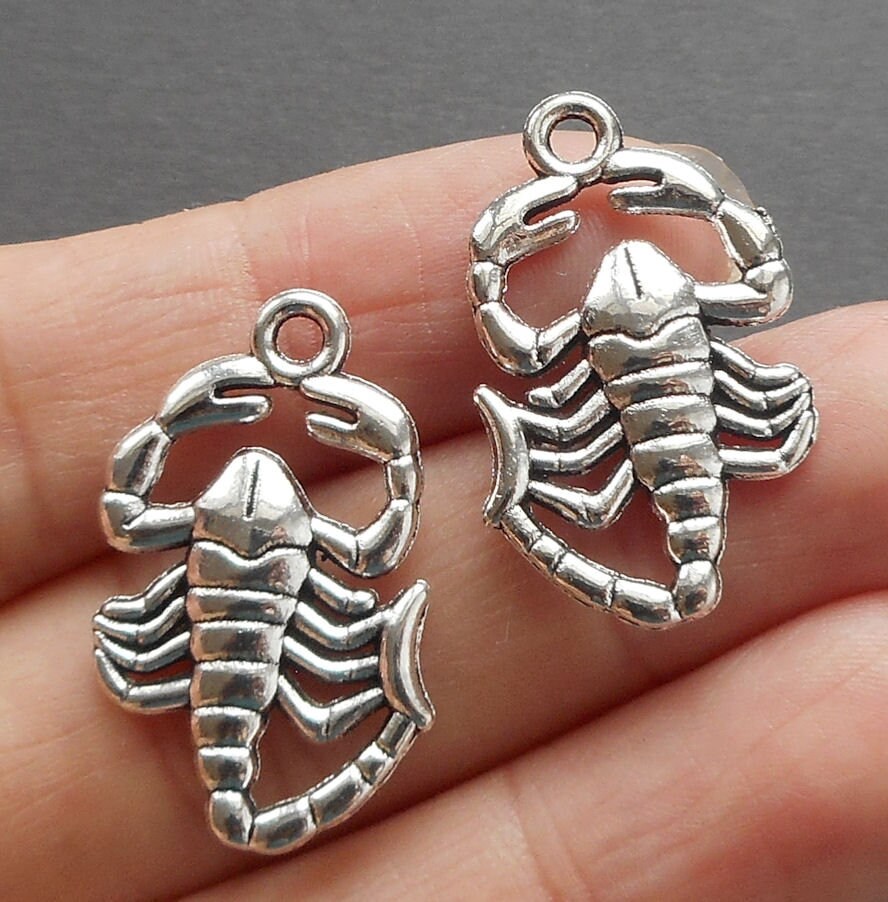 6pcs-2 Sided Silver Tong Scorpion Charm - Etsy