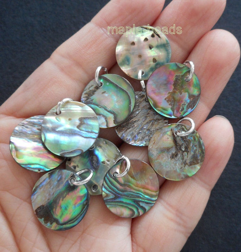 Easy to Your Project-6pcs-15mm Genuine Abalone Paua Shell - Etsy
