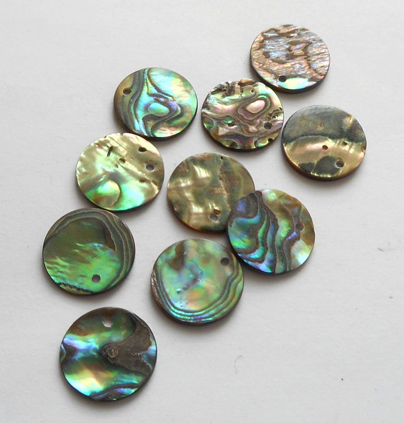 6pcs-genuine Abalone Paua Shell Disc Beads 2 Sided 12mm - Etsy