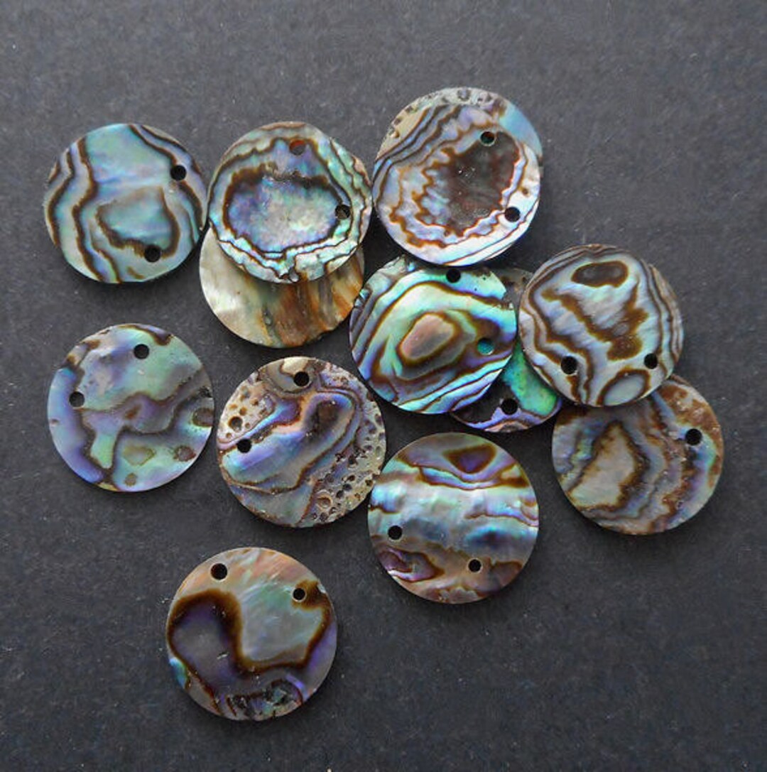 6pcs-2 Holes-12mm Genuine Abalone Paua Shell Beads - Etsy Singapore