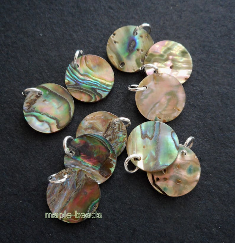 Easy to Your Project-6pcs-15mm Genuine Abalone Paua Shell - Etsy