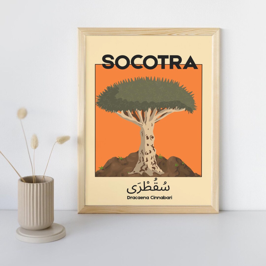 Socotra Wall Art Socotra Island Travel Print Orange Tropical Nature ...