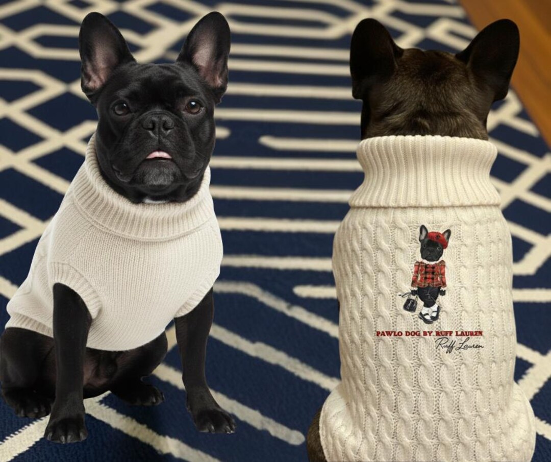 Cable Knit Dog Turtleneck Sweater – "pawlo Dog" Design, Bulldog Apparel ...