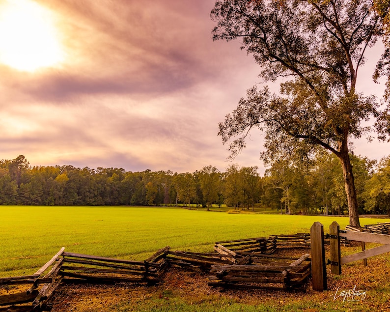 Natchez Trace Parkway Fence Line – Rustic Southern Countryside ...