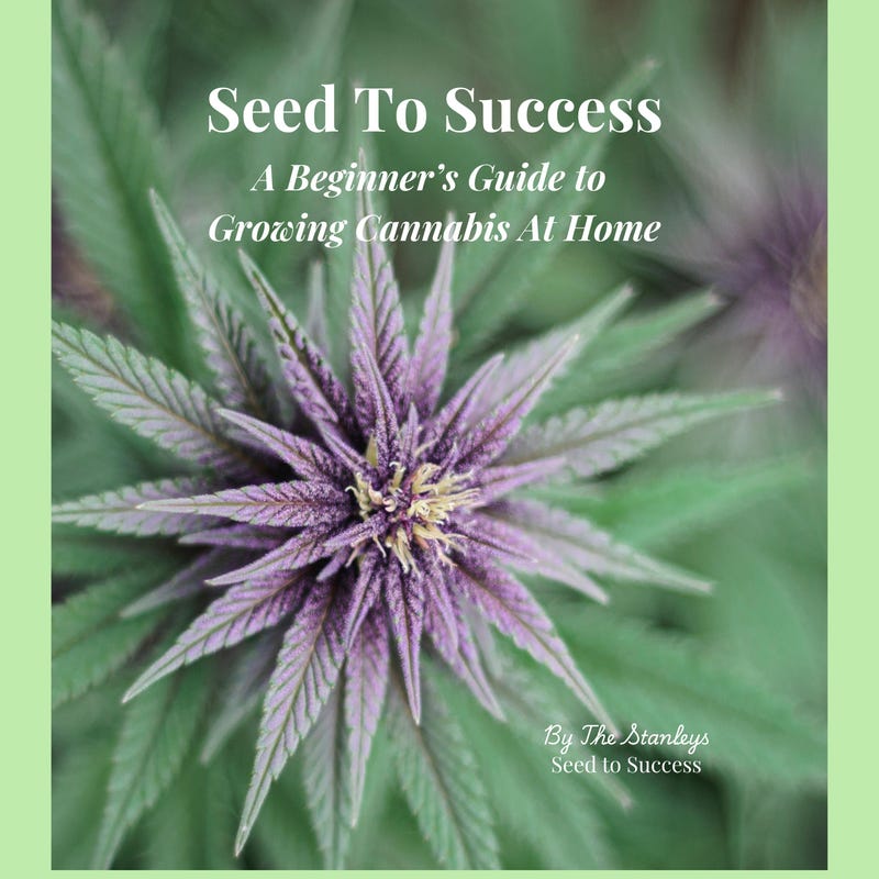 The Growing Step - Etsy