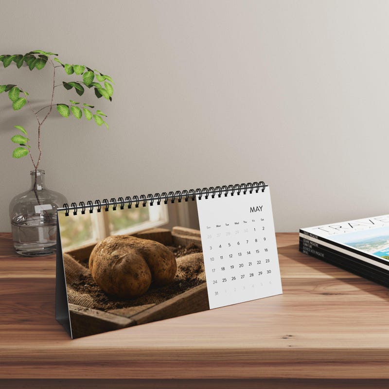 Weird Calendars 2026 - Etsy