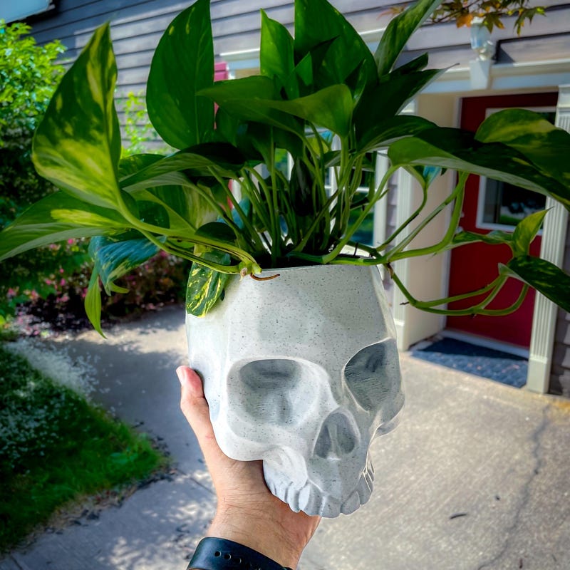 Skull Planter - Etsy