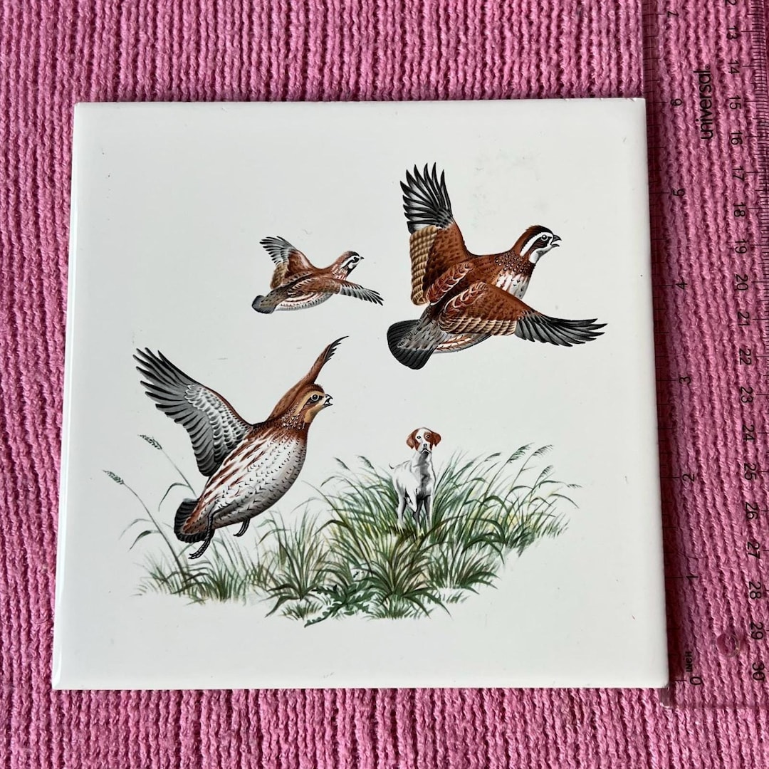 Northern Bobwhite Quail & Pointer Painted Collectors Trivet Soriano ...