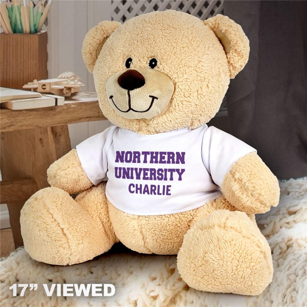 School Spirit Personalized Teddy Bear, Gift for College Student, Teddy ...