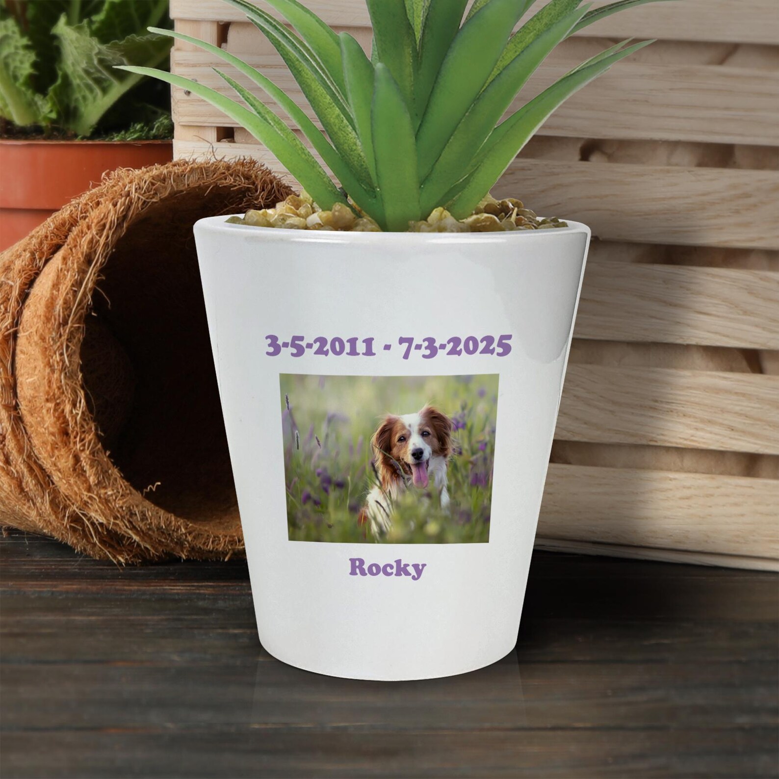 Personalized Flower Pot, Photo Flower Pot, Small Planter, Succulent Pot ...