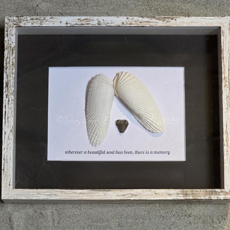 Seashell Angel - Etsy