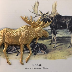 Extra Large Mid Century Moose (1 Pc) - Etsy