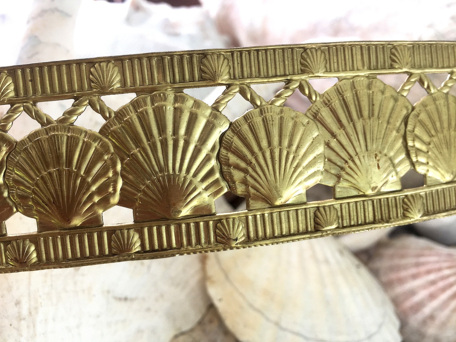 RARE Scallop Shell Banding 1 foot | Etsy