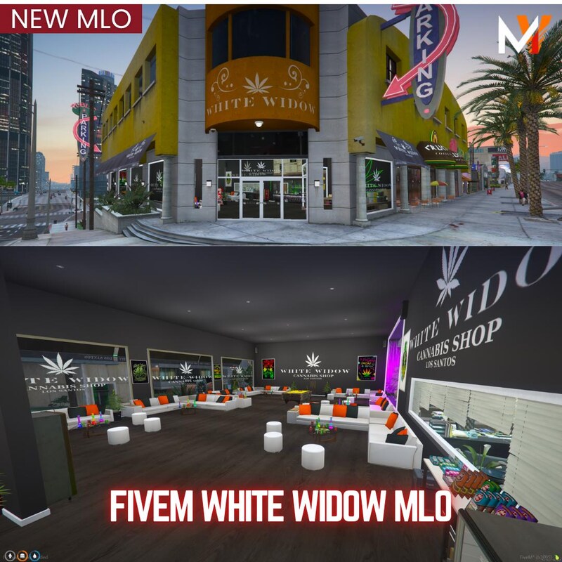 Fivem Mlo Female - Etsy