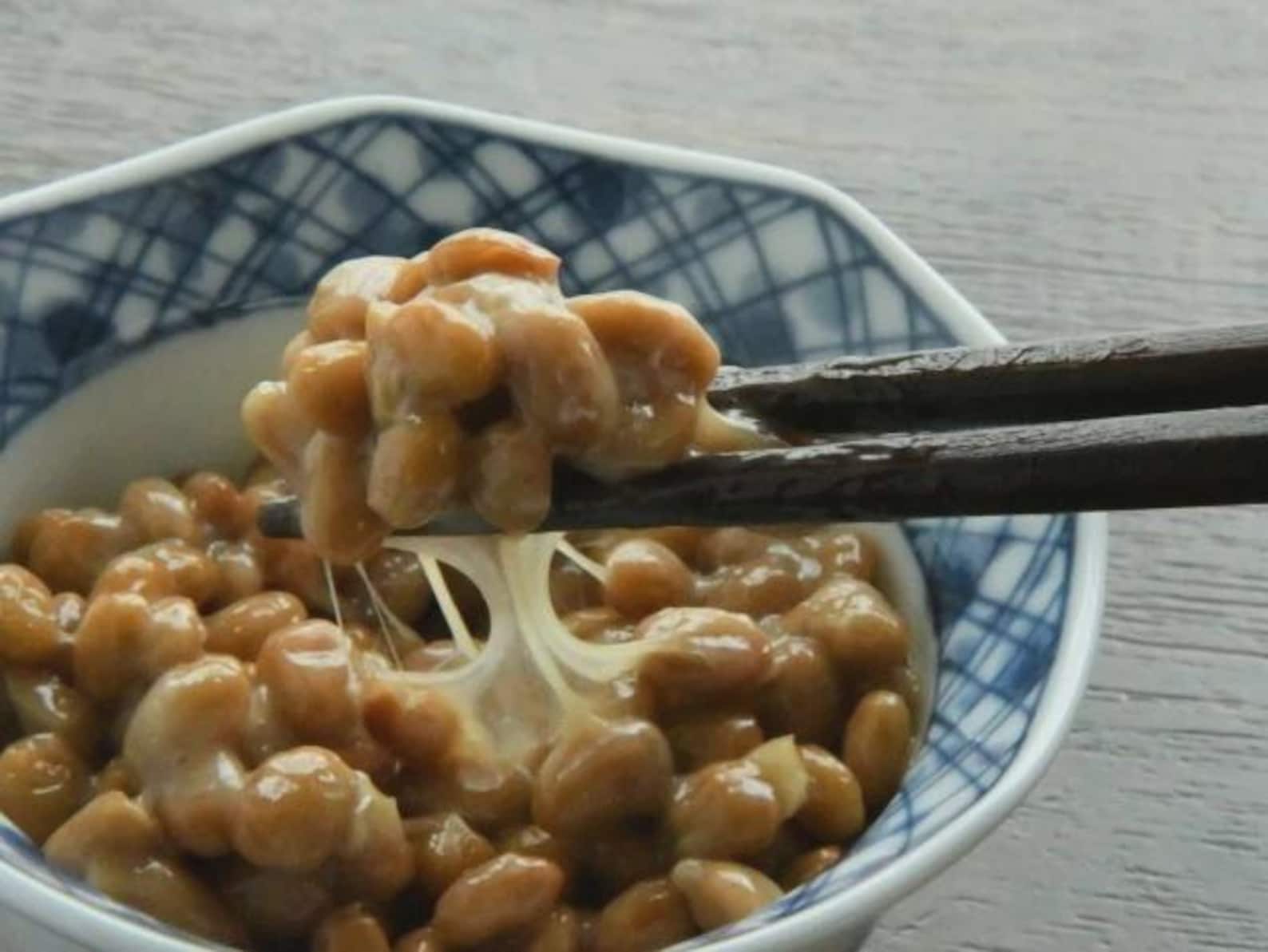 Nattomoto Natto Starter Spores: Traditional Japanese Culture (3G X 2pcs ...