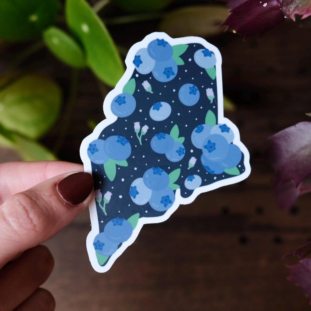 Blueberry Maine Sticker — Waterproof & Laminated — for Cars, Water ...