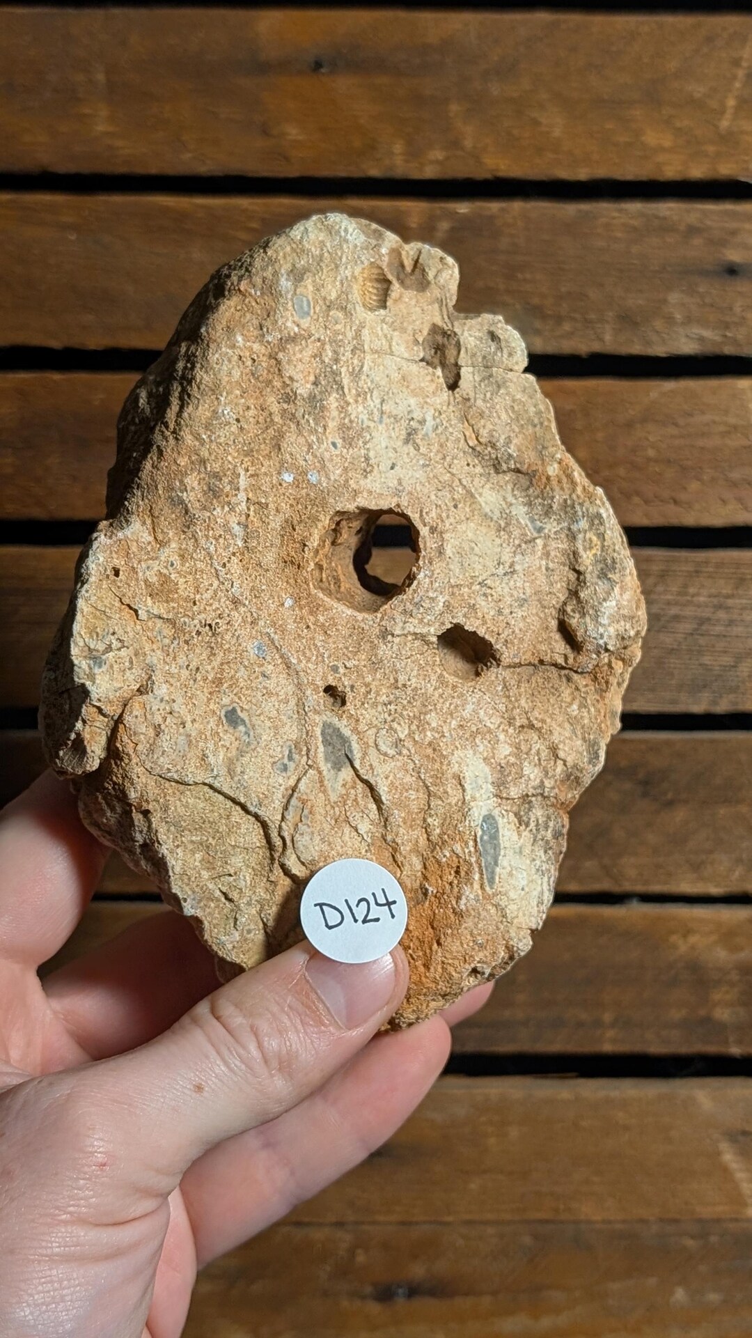 Hag Stone | Holey Stone | Witch Stone Amulet | Protection & Good Luck ...