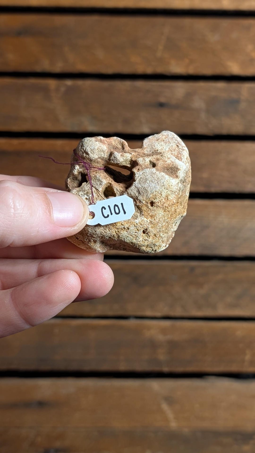 Hag Stone | Holey Stone | Witch Stone Amulet | Protection & Good Luck ...