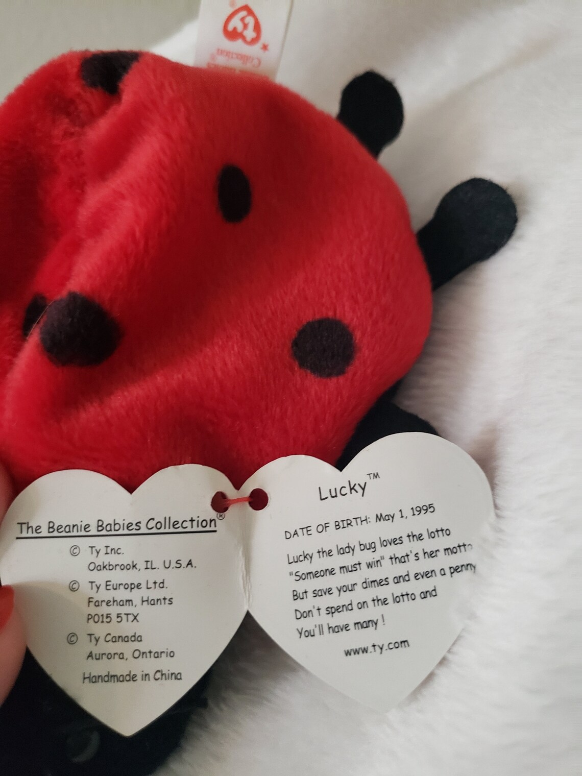 Lucky the Lady Bug Beanie Baby 1995 - Etsy
